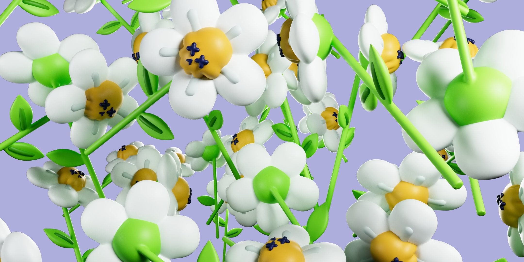 Have a Nice Daisy Collection – exspira